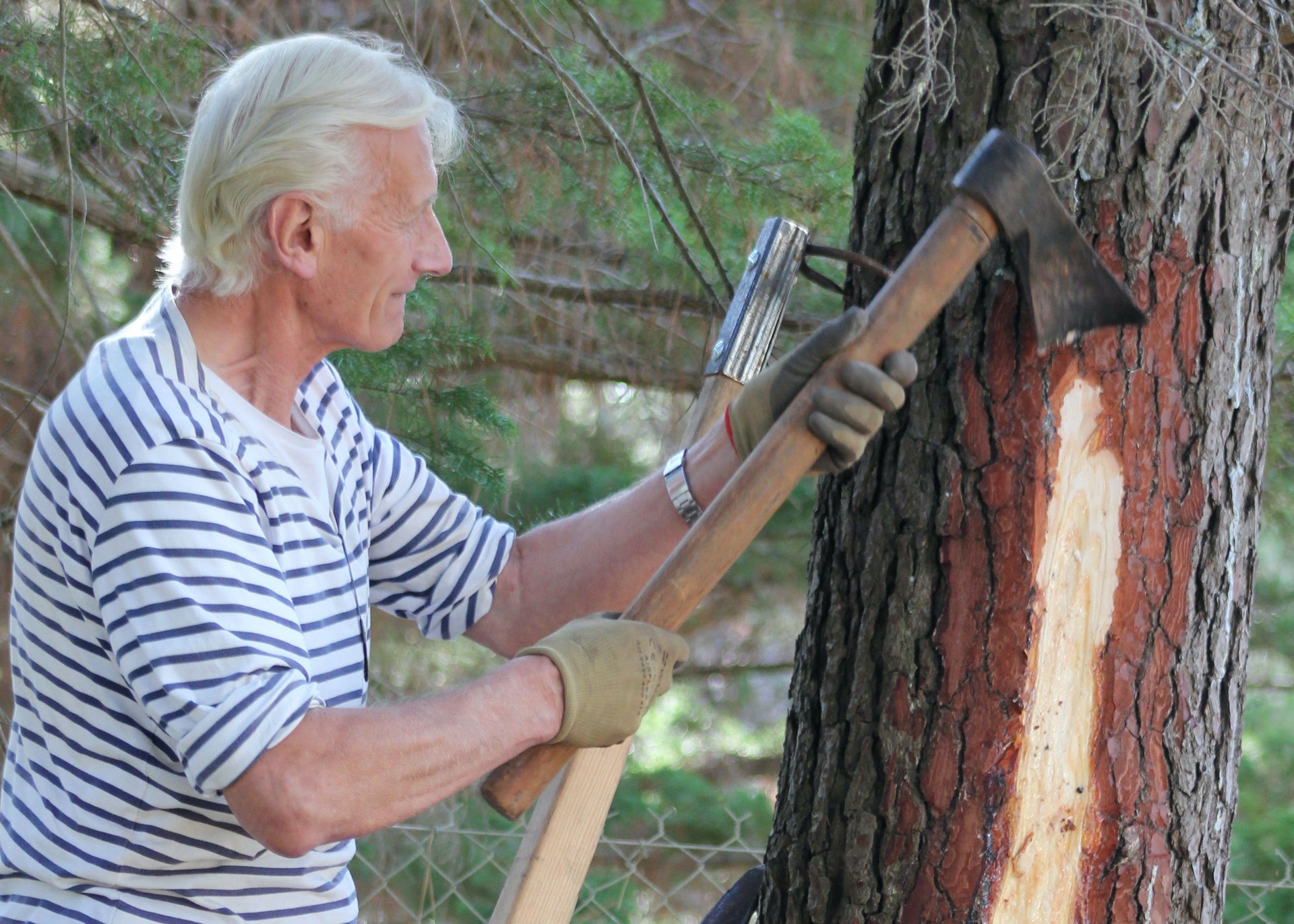 Démonstration de gemmage