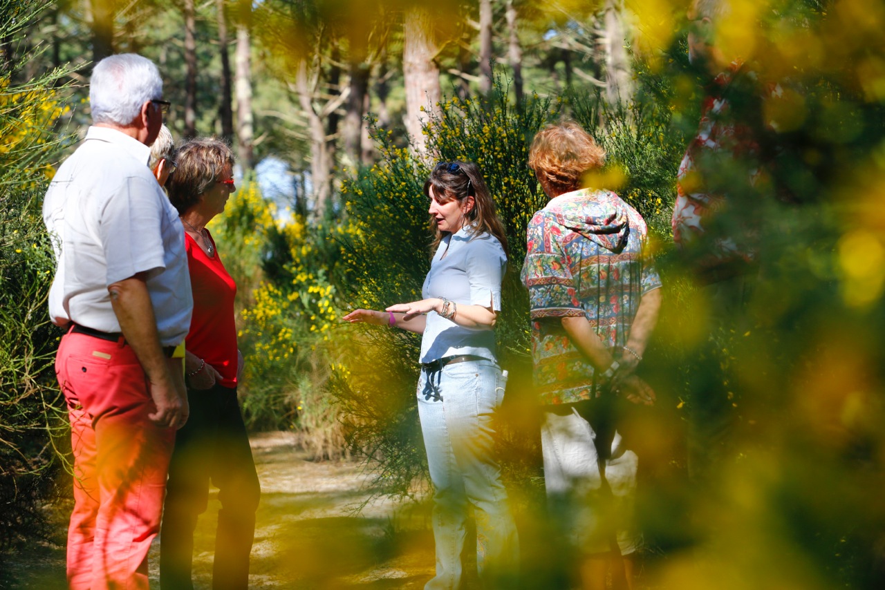 Balades & visites gratuites avec un Greeter